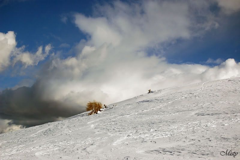 Alcuni scatti dell'inverno appena passato.. Alcuni scatti dell'inverno appena passato..